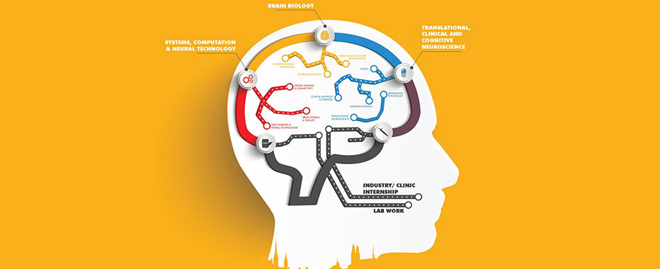 Joint Master Interdisciplinary Brain Sciences | ETH Zurich